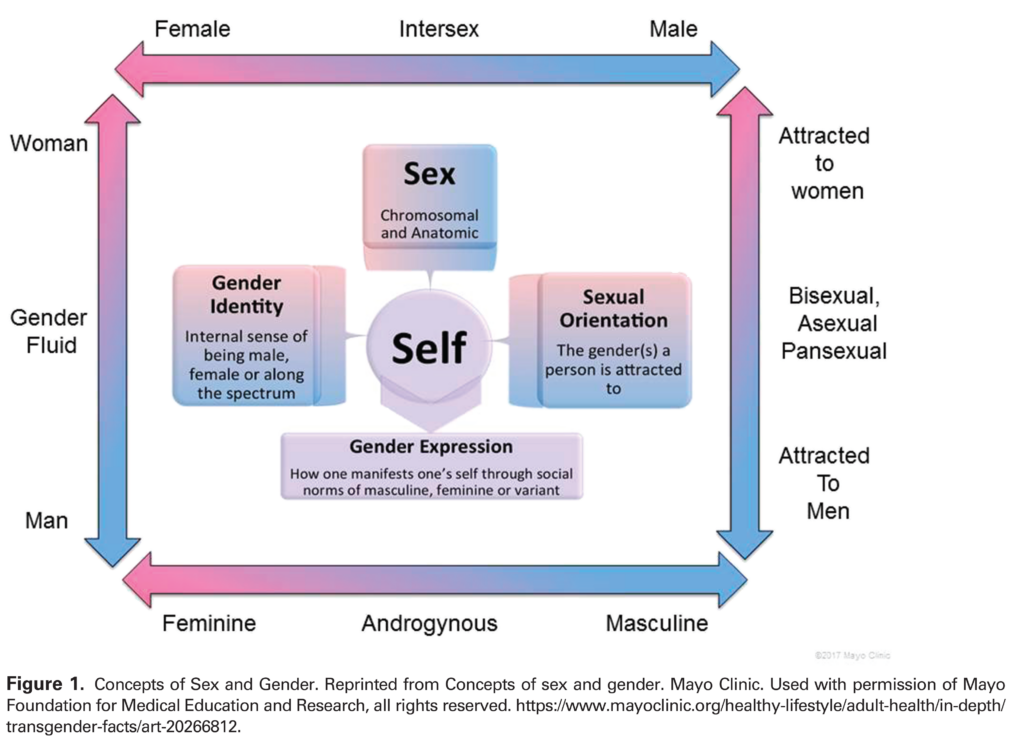 Addressing Black Transgender Inclusive Healthcare
